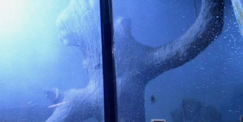 Best Trees in Movies: From Agent 13 to Grandmother Willow