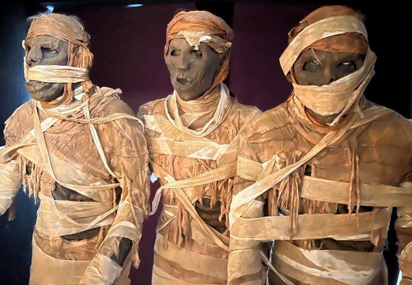 HHN 2022: Horrors of Blumhouse & Universal Monsters Haunted House Images