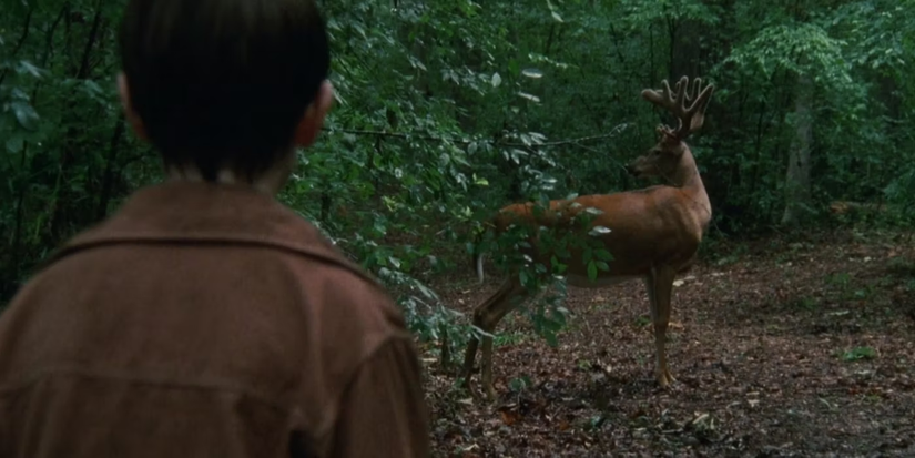 10 Best Carl-Focused 'The Walking Dead' Episodes, Ranked