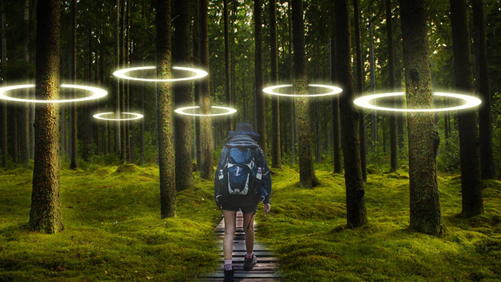10 Must-Watch Sci-Fi Miniseries, Ranked