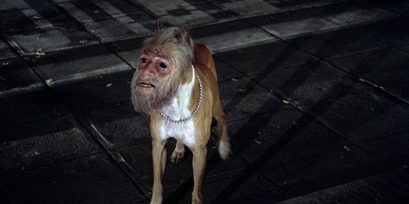 Creepy Cananies: The 10 Scariest Dogs in Film, Ranked