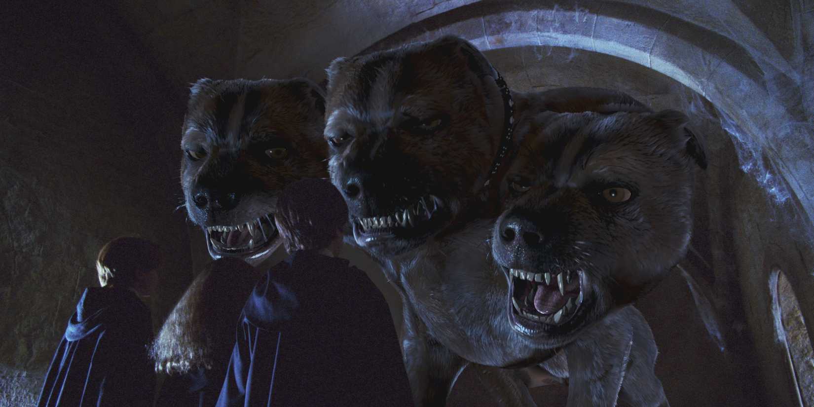 10 Best Non-Human Characters in Harry Potter, Ranked