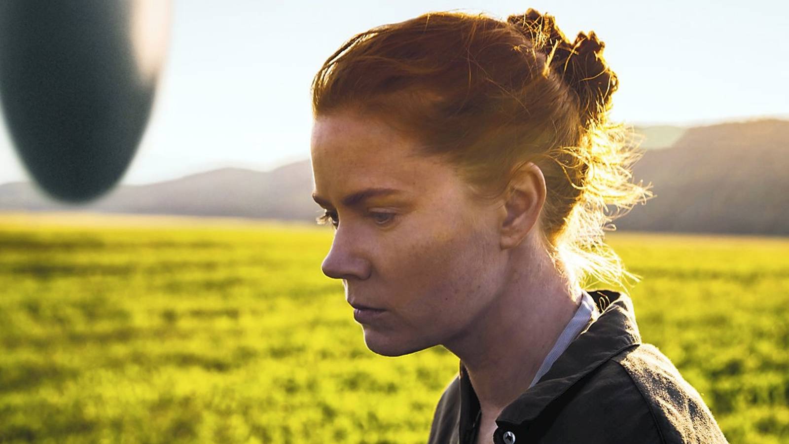 10 Greatest Performances in Denis Villeneuve Movies, Ranked