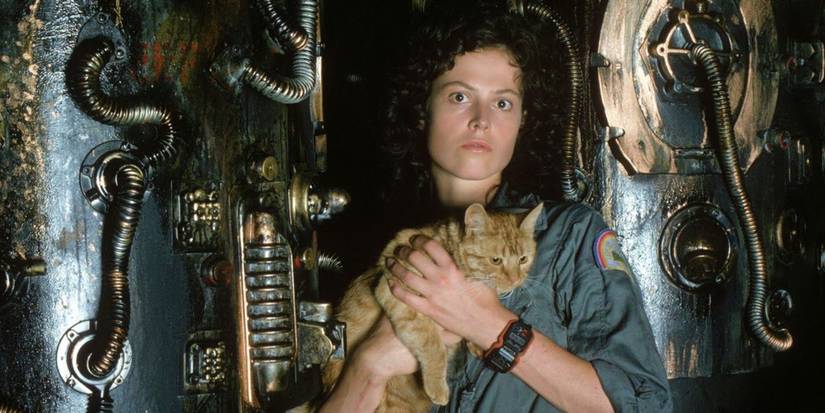 10 of the Most Iconic Cats in Film History, Ranked