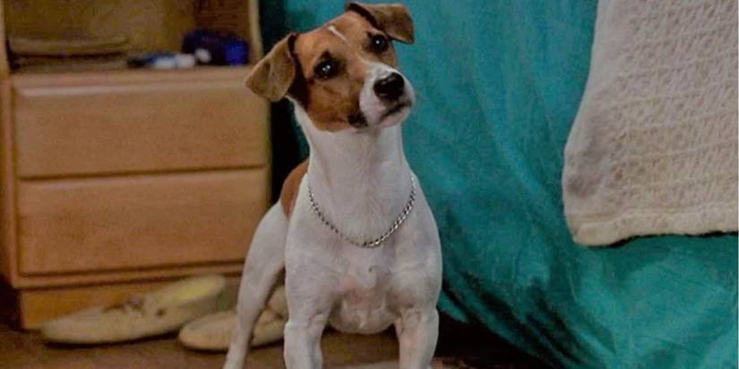 'John Wick' and 9 Other Movies With Cool Canine Characters