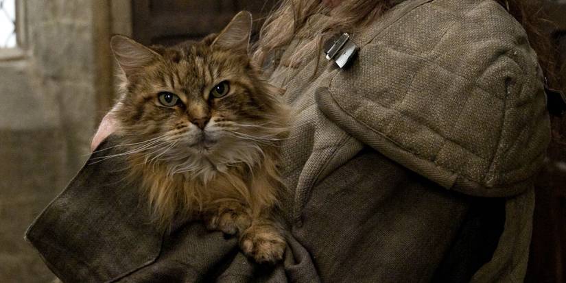 10 of the Most Iconic Cats in Film History, Ranked