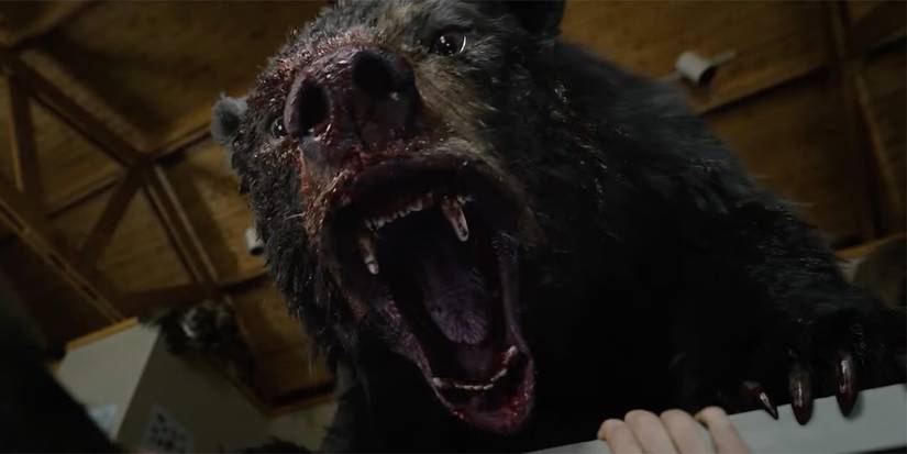 Where to Watch 'Cocaine Bear': Streaming, Digital, and Blu-ray