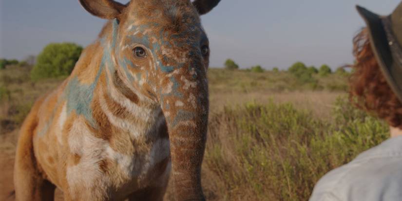His Dark Materials Showrunners Talk Creating the Mulefas for Season 3