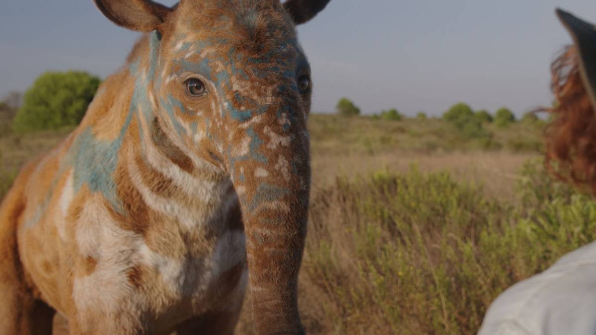 His Dark Materials Showrunners Talk Creating the Mulefas for Season 3