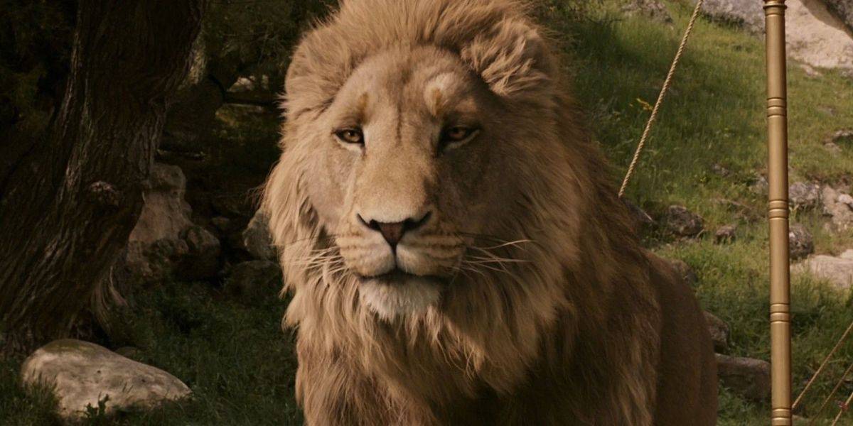 Netflix’s ‘Narnia’ Movie Is “Going To Change the World,” Says IMAX CEO