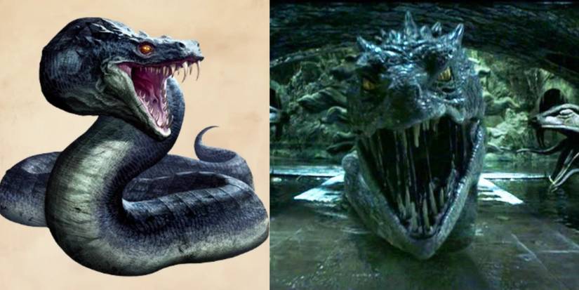 10 Dangerous Magical Creatures in the Wizarding World of Harry Potter ...