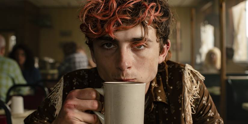 Every Luca Guadagnino Movie, Ranked From Worst to Best