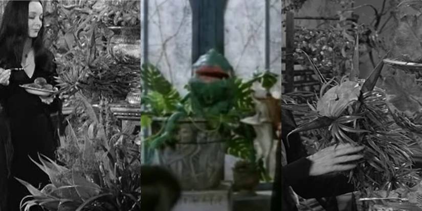 'Wednesday': 10 Addams Family Characters That Would Be Great For Season 2