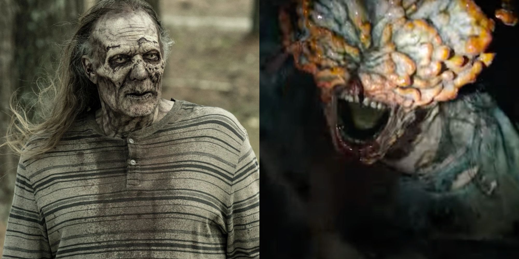 Scariest Types Of Zombies