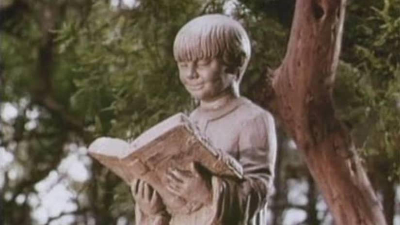 The Best Mexican Horror Movies, From Guillermo del Toro to Jodorowsky