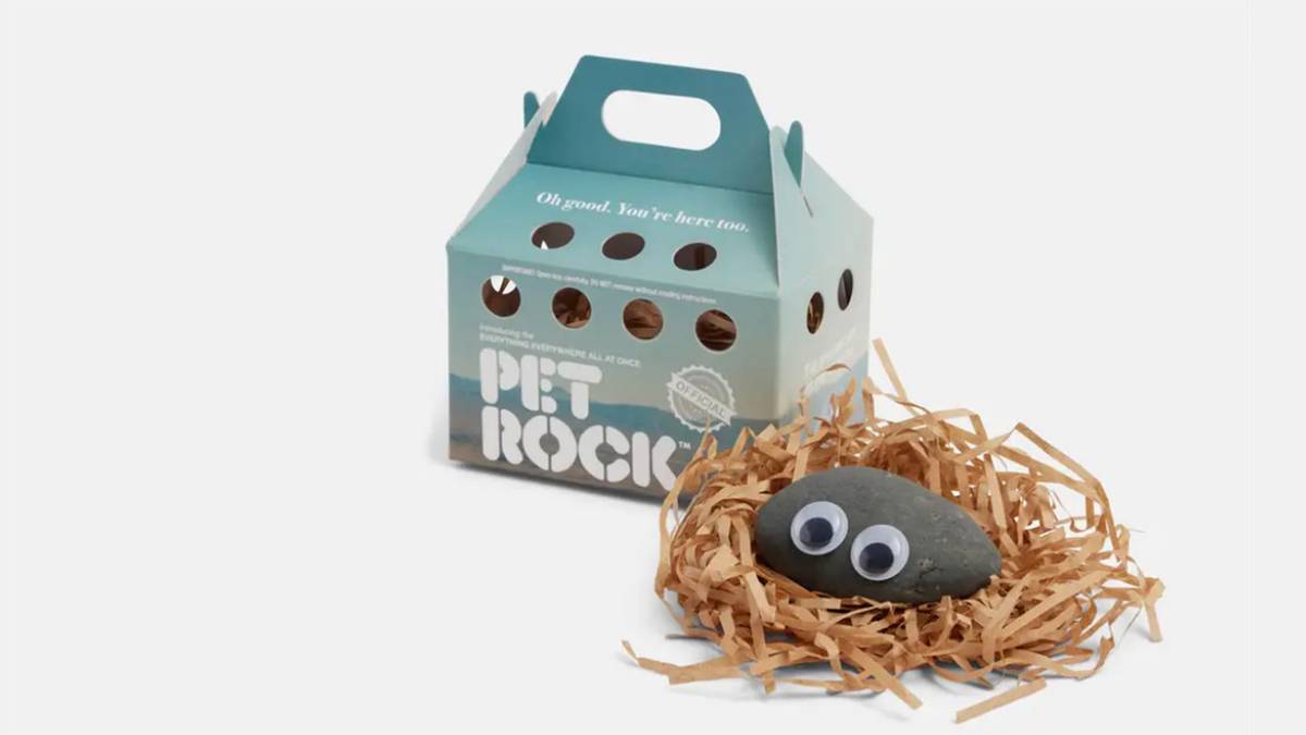 Everything Everywhere All At Once: A24 Selling Pet Rock Following Oscar ...