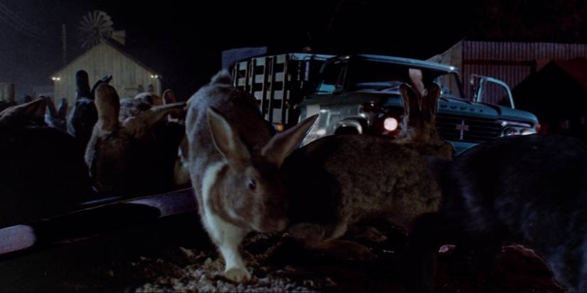 ‘Night of the Lepus’ Is a Horror Movie So Ridiculous, It Works
