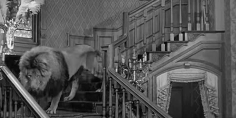 'Wednesday': 10 Addams Family Characters That Would Be Great For Season 2