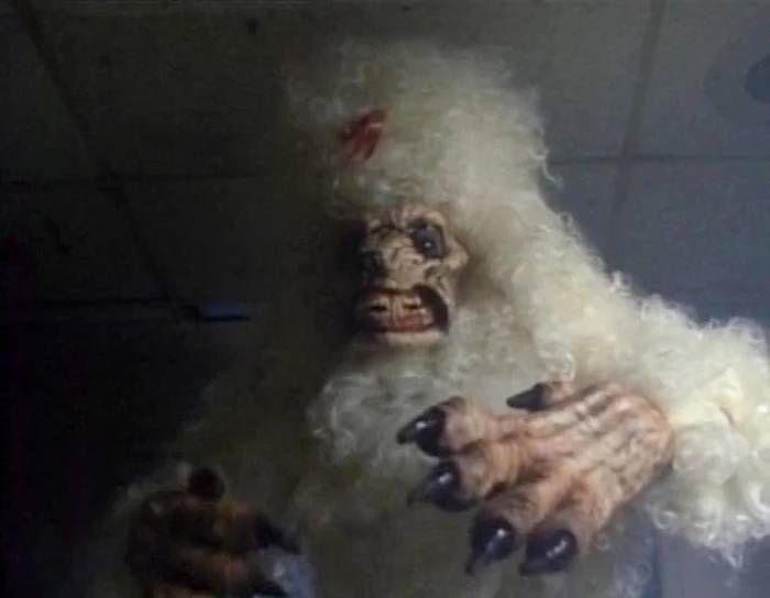 Best Zombie Animals in Movies