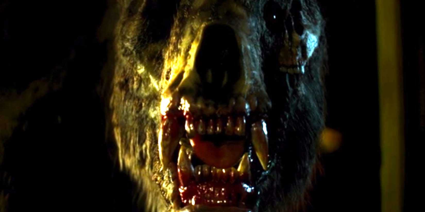 12 Scariest Movies About Bears Like 'Cocaine Bear'