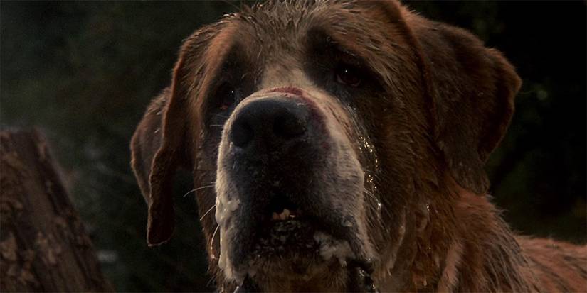 10 Best Villains in Stephen King Adaptations, Ranked