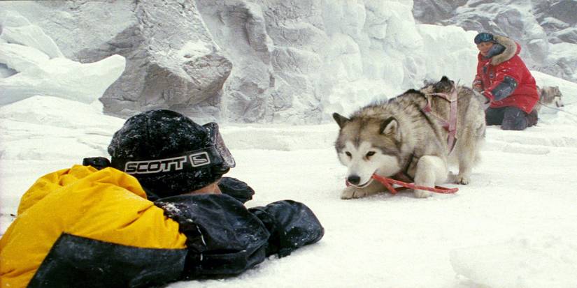 Movies like 'Arctic,' From 'Eight Below' to 'The Martian'