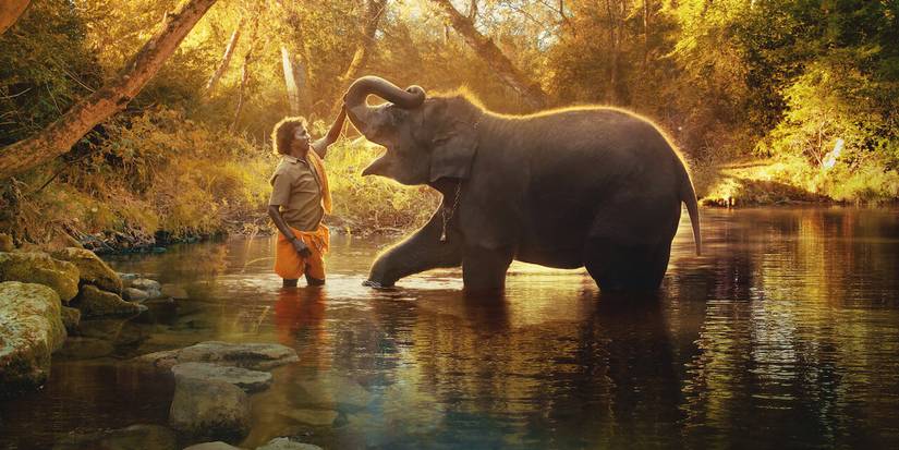 The 10 Best Netflix Original Nature Documentaries, Ranked