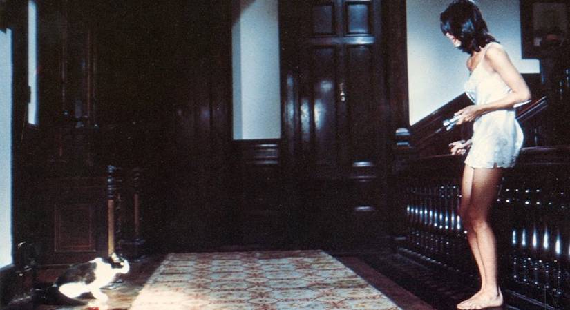 Best Horror Movies Set in New York City Ahead of 'Scream 6'