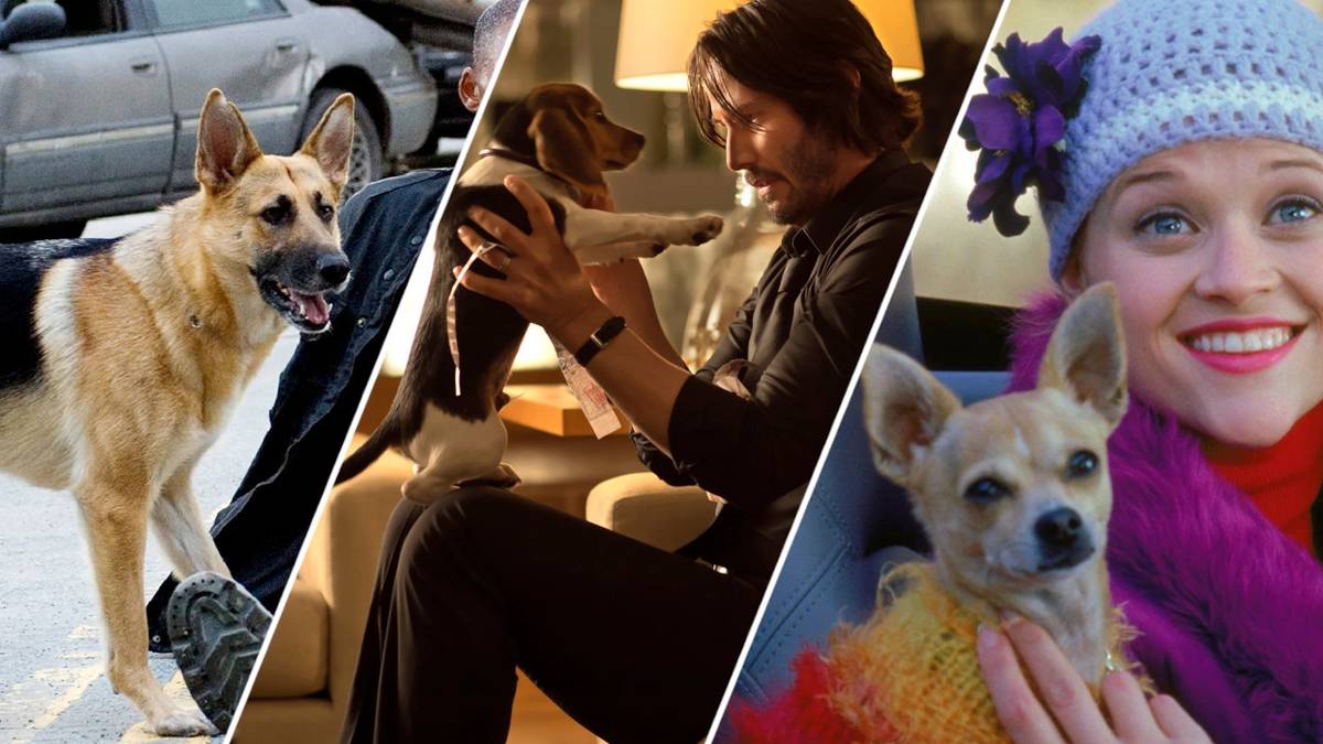 John Wick’s Daisy & 9 Other Memorable On-Screen Dogs