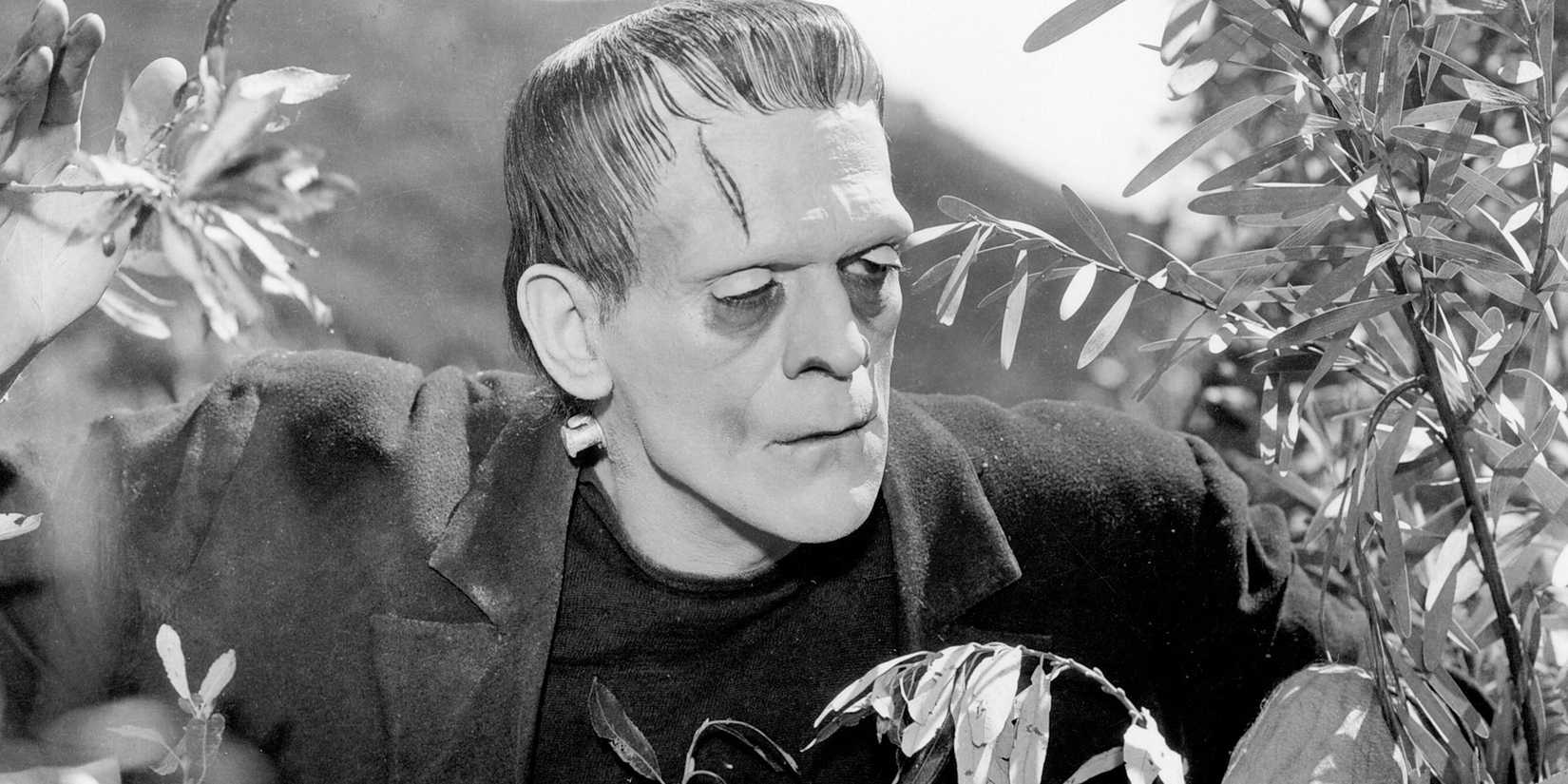 10 Movies To Watch if You Love Guillermo del Toro's 'Frankenstein'