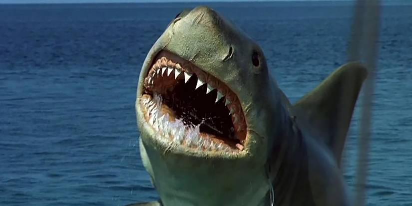 The Opening Kill of Each ‘Jaws’ Shows How the Rest of the Movie Will Go