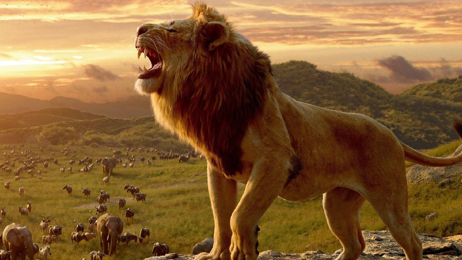 New 'Mufasa The Lion King' Trailer Unveiled at D23 Brazil