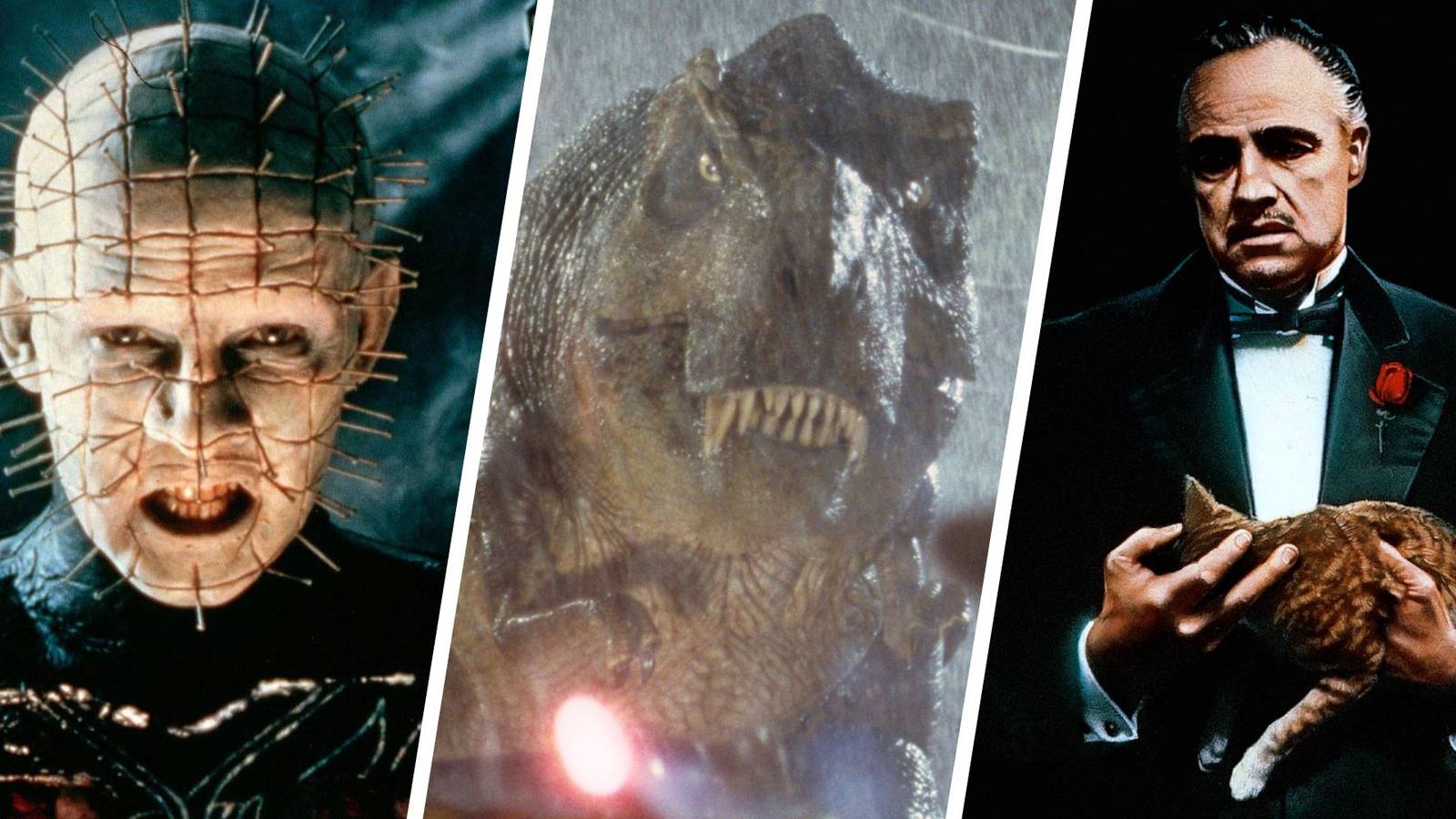 10 Authors Who Wrote a Movie Based on Their Book