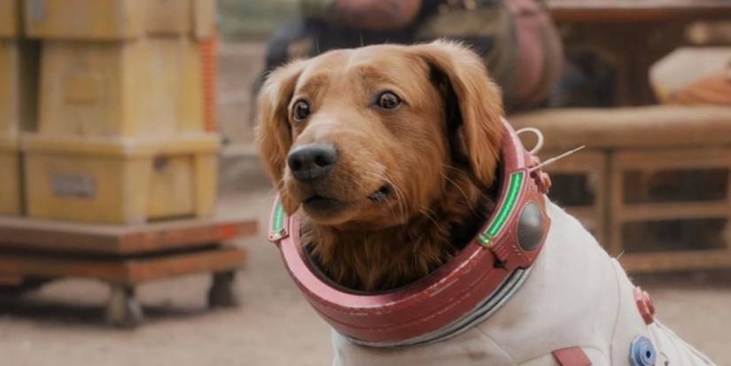 Who Is Cosmo the Spacedog (Besides a Good Dog)?