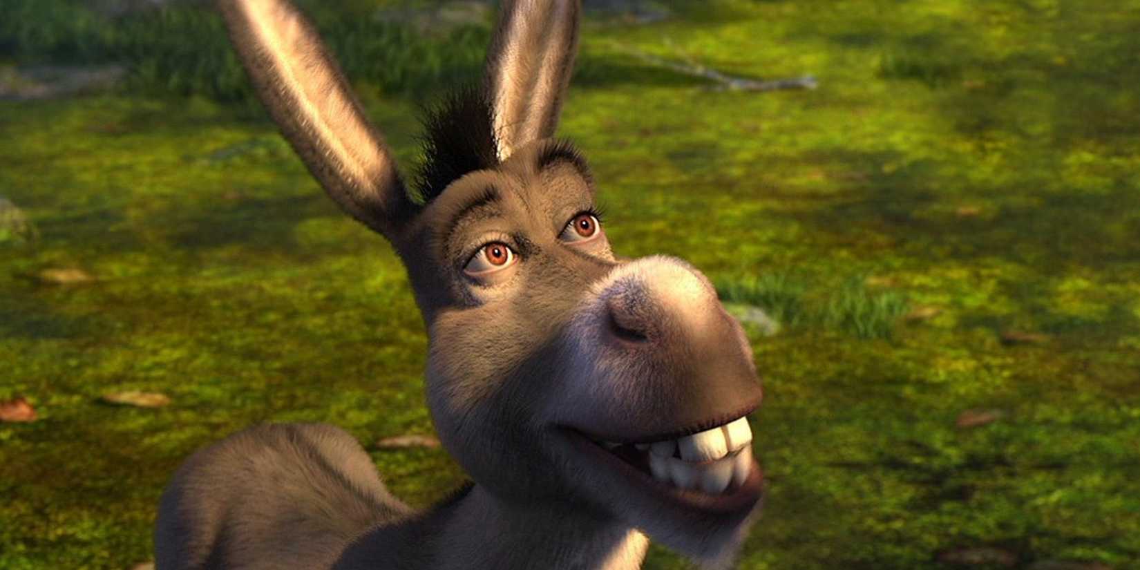‘Shrek 5’: Release Window, Returning Cast, and Everything We Know So Far