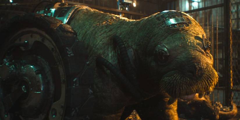 'Guardians of the Galaxy 3': Rocket's Cellmates Explained