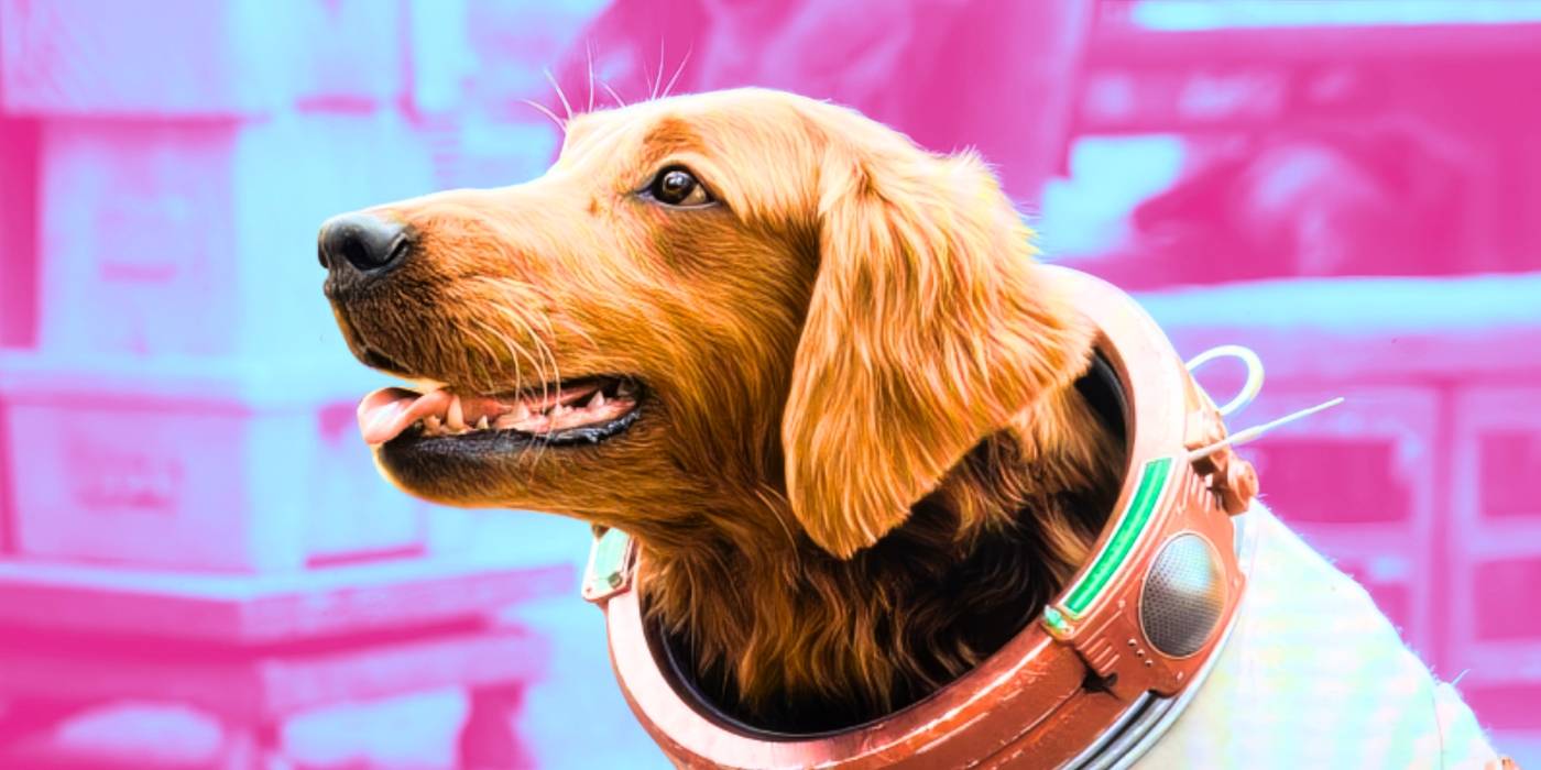 Who Is Cosmo the Spacedog (Besides a Good Dog)?