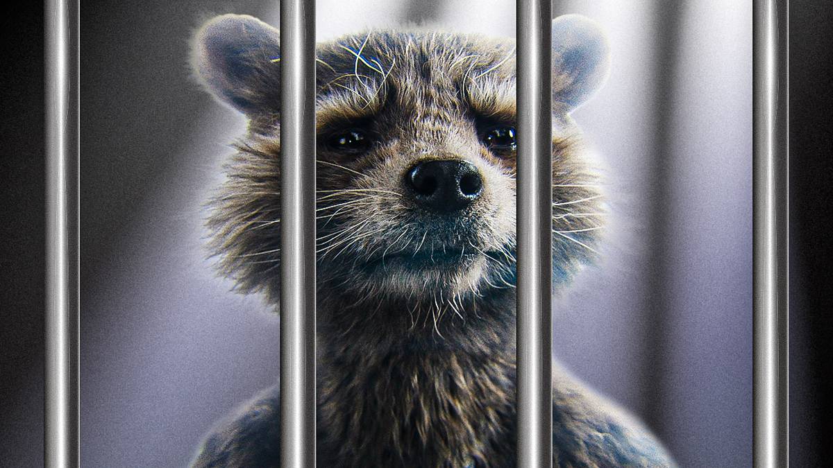 ‘Guardians of the Galaxy 3’: How Was Rocket Made?