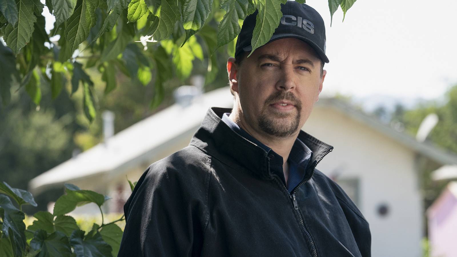 'NCIS' Season 22 Sneak Peek Shows McGee's Ingenious Fundraising Plan