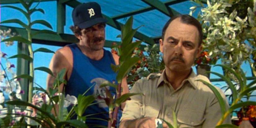Why ‘Magnum P.I.’ Is the Most Iconic ’80s Detective Show