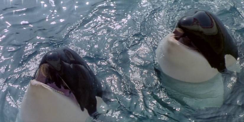 Shark Week Just Settled a 50-Year Movie Monster Feud Between the Jaws ...