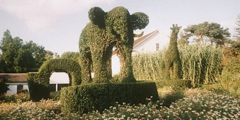 10 Best Errol Morris Documentaries, Ranked by IMDb