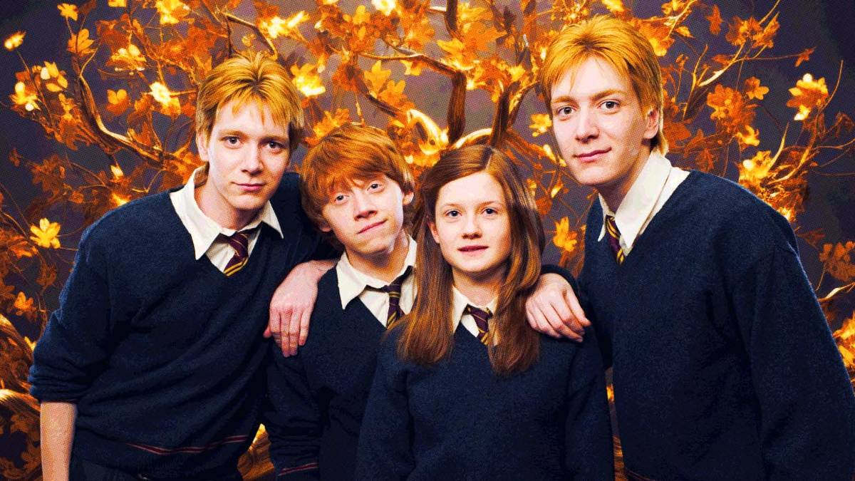 Harry Potter’s Weasley Family Tree Explained