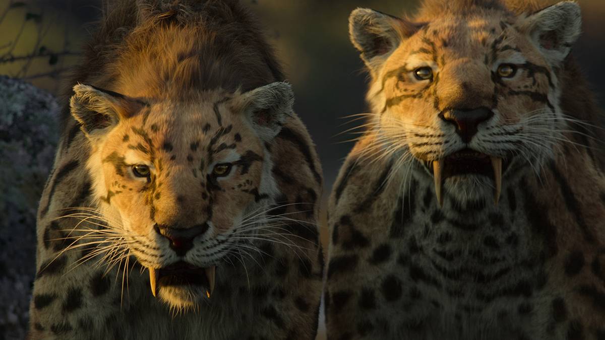 Epic Battle for Survival on Earth Unfolds in 'Life on Our Planet' Trailer