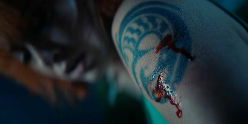 This Is the Best Shot-For-Shot Adaptation of 'One Piece'