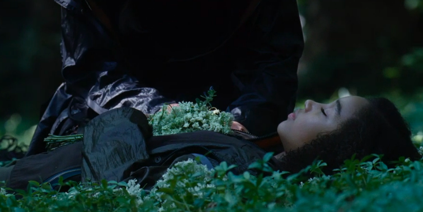 10 Most Memorable 'Hunger Games' Scenes