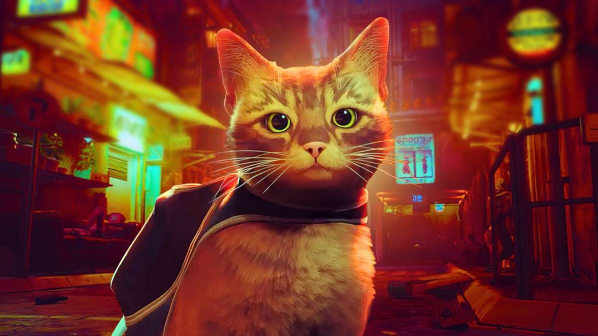 'Stray' - Everything We Know About the Movie Adaptation of the Video Game
