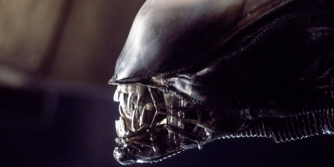 'Alien' Review - I'm Both Fascinated and Horrified by Ridley Scott's ...