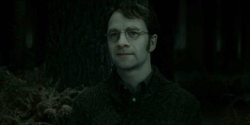 Every Named Animagus in Harry Potter Canon, Ranked