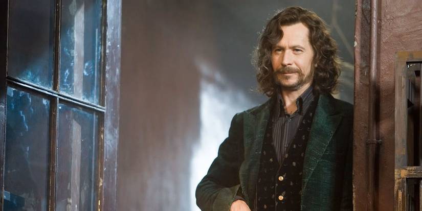 Every Named Animagus in Harry Potter Canon, Ranked